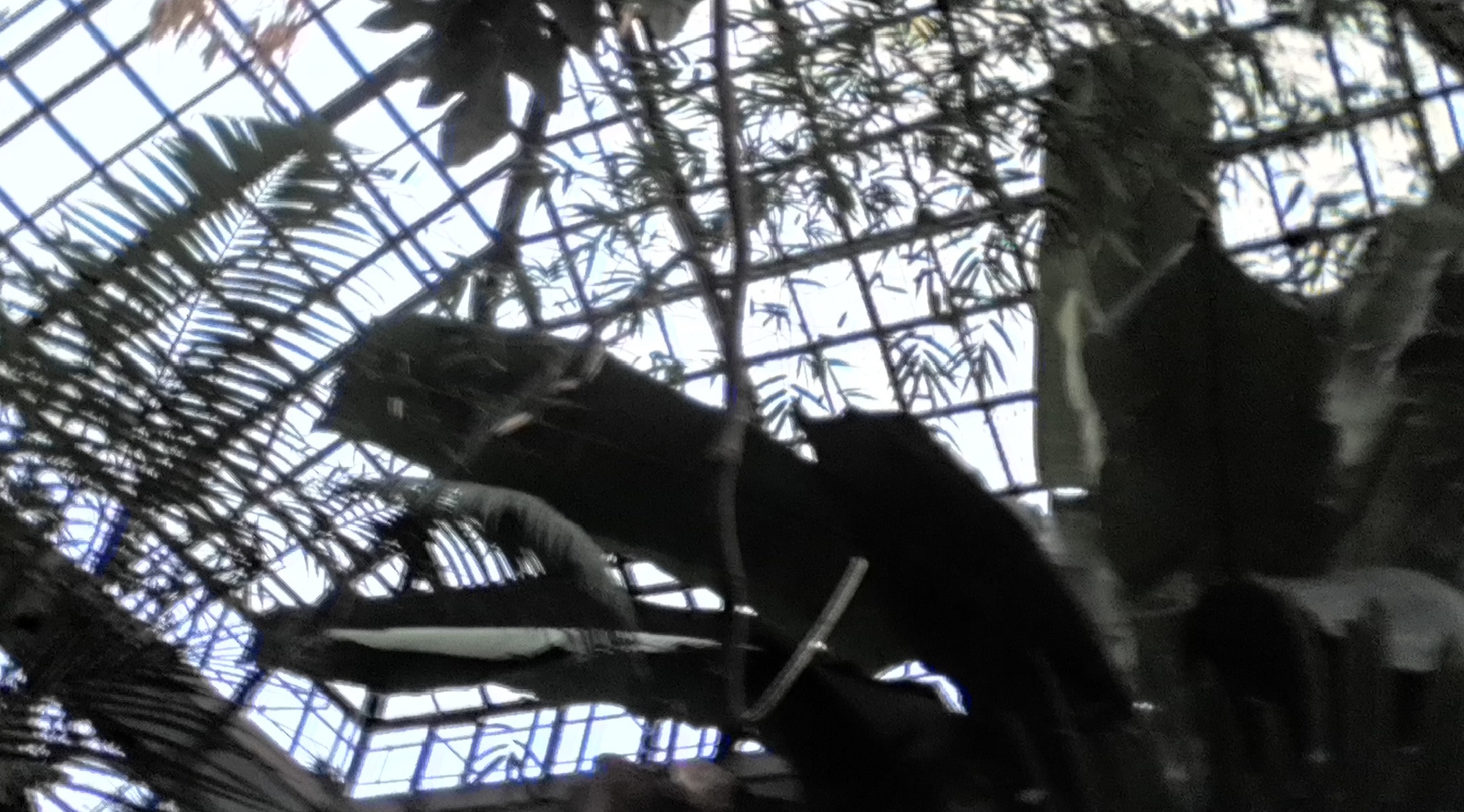 About – David Rae Stories